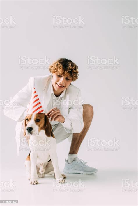 회색 배경에 비글 개에 파티 모자를 착용 곱슬 머리를 가진 행복 한 남자 개에 대한 스톡 사진 및 기타 이미지 개 곱슬 머리 공휴일 Istock