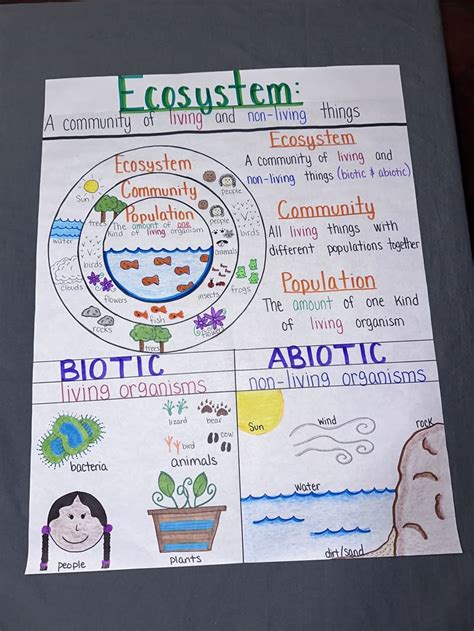 Introduction To Ecosystem Anchor Chart For Elementary Middle And High School Etsy In 2025
