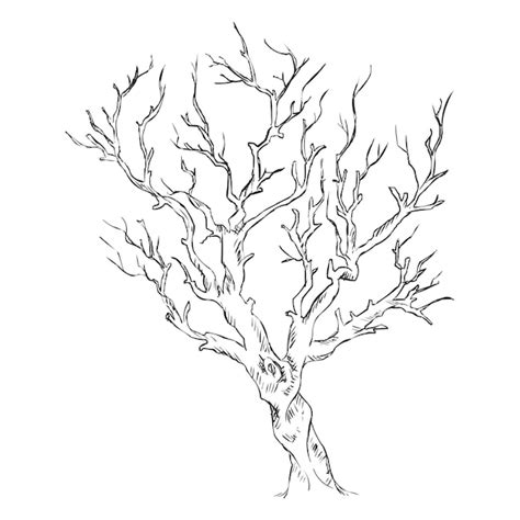 Premium Vector Vector Single Sketch Bare Tree