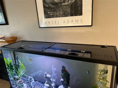 Best Aquarium Lids Crystal Clear And Durable Walter Lids