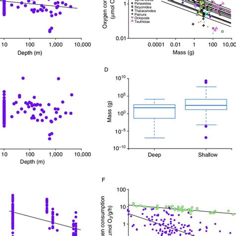 Pdf Metabolic Ecology A Scaling Approach