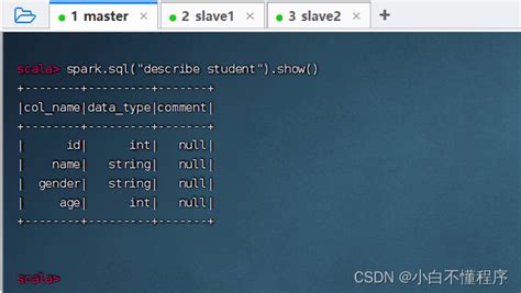 大数据实时处理41 Spark Sql概述、数据帧与数据集 Csdn博客