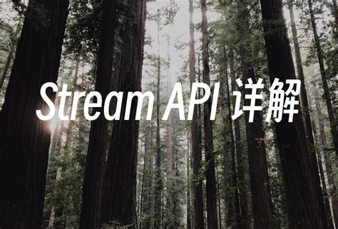 Java8 Stream Api 详解：流式编程进行数据处理 阿里云开发者社区