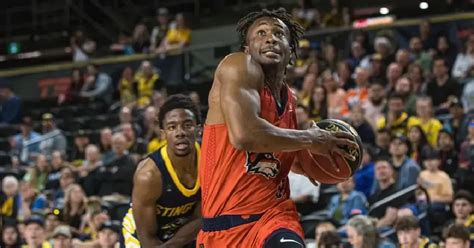 Reigning Cebl Canadian Player Of The Year Honey Badgers All Time Assist Leader Mcewen Rejoins Club