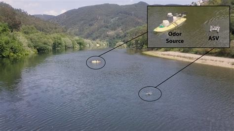 Testing Environment Located In A Anonymous Section Download