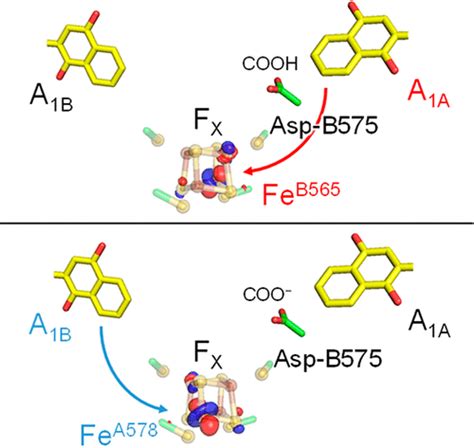 光合电子转移途径的铁硫簇中的电子受体 供体铁位点 The Journal Of Physical Chemistry Letters X Mol