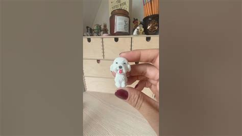 Cute Ereaser Unboxing Asmr Aesthetic Stationary Satisfying