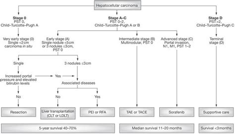 Barcelona Clinic Liver Cancer Bclc Classification Pst Performance