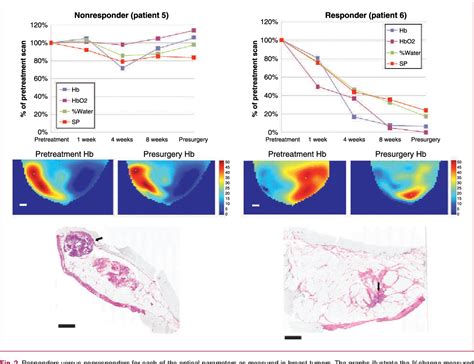 Figure 1 From Functional Imaging Using Diffuse Optical Spectroscopy Of Neoadjuvant Chemotherapy