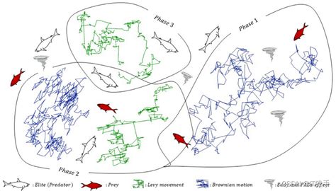 多目标优化算法：多目标海洋捕食者算法mompa（提供matlab代码）marine Predators Algorithm Csdn博客