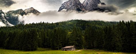 Тайны лесных странствий Наш канал с атмосферными видео T Me Lesnyestranstvia Откройте