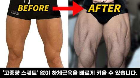 고중량 스쿼트 없이 하체 근육 키우려면 ‘이 루틴 하세요 Feat 작은빌더정권 Youtube