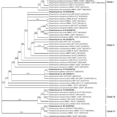 Bayesian Inference Tree Showing The Phylogenetic Relationship Among The