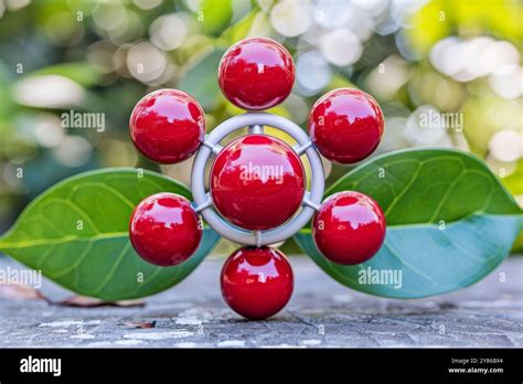 Exploring The Nature Of Matter And Energy Fundamental Principles Of Physics And Their Impact