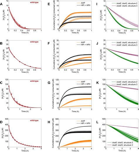 Parameter Training On Wild Type Data And Analysis Of Acceptable