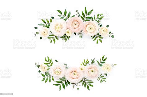 분홍색 라운큘러스 꽃 봉오리와 흰색 배경에 유칼립투스의 꽃 프레임 화환 플랫 레이 상단 보기 모형 꽃의 프레임 0명에 대한 스톡 사진 및 기타 이미지 Istock