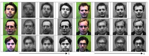 Examples Of Prototypes Generated By Fcl During The Iterations Download Scientific Diagram