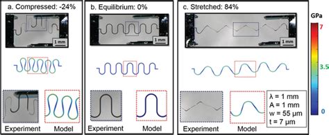 Experimental And Model Comparison Of Si Serpentine Uniaxial Tensile Download Scientific Diagram