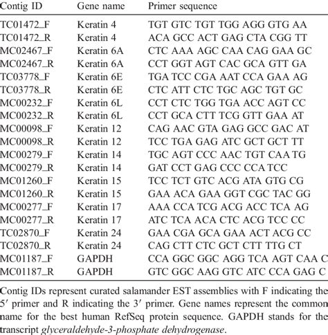 Primers Used For Rt Pcr Download Table