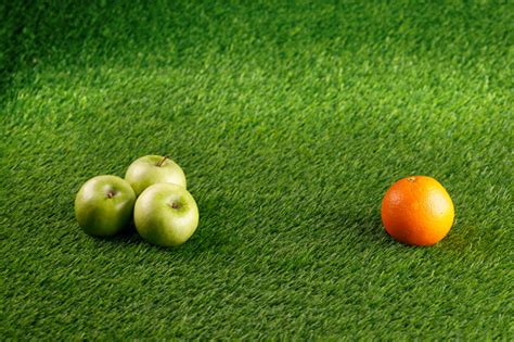 초록 녹색 배경입니다 부시 풀 복사 공간 3 개의 녹색 사과와 하나의 오렌지 0명에 대한 스톡 사진 및 기타 이미지 0명 갈퀴 개념 Istock