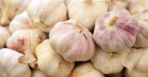 Вони знають і таке вчені розповіли як позбутися запаху часнику з рота Техно Bigmir Net