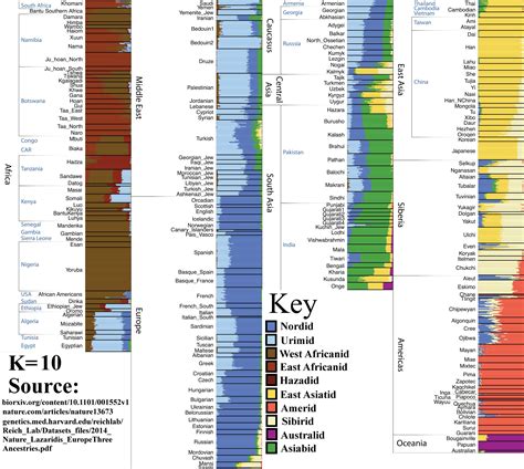 A Race By Race Breakdown Of Human Genetic Diversity Illustrated Guide