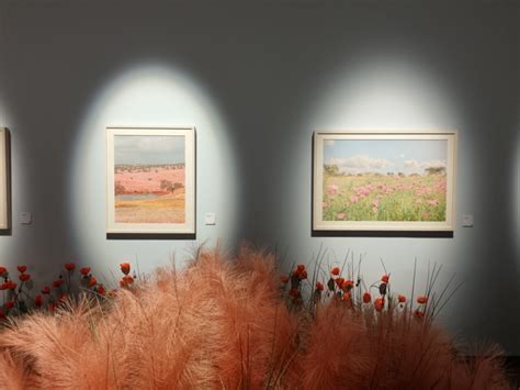 서울 여의도 테레사 프레이타스 사진전 파스텔 색의 봄과 여행을 좋아한다면129 424 네이버 블로그