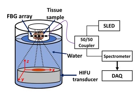 Schematic Diagram Of Experimental Setup For Hifu Ablation And Fbg