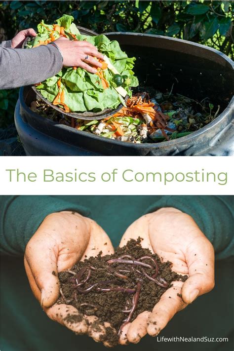 The Basics Of Composting Composting Food How To Start Composting Compost