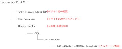動画内の人の顔を自動検出してモザイク処理する方法 Python OpenCV みやしんのプログラミングスキル通信