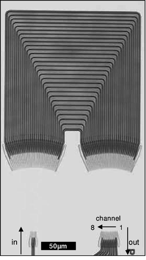 Arrayed Waveguide Grating With GHz Wavelength Channels Download Scientific Diagram