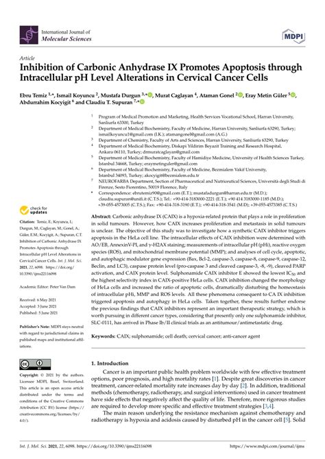 Pdf Inhibition Of Carbonic Anhydrase Ix Promotes Apoptosis Through Intracellular Ph Level