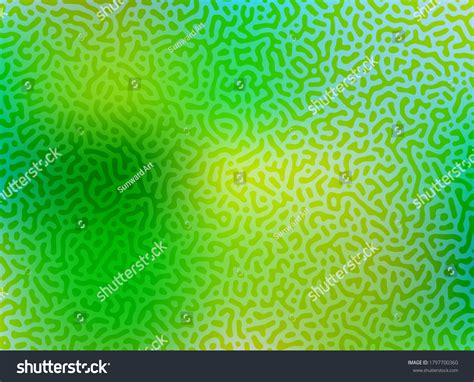 Reactiondiffusion Turing Pattern Formation Generative Algorithm Stock Vector Royalty Free