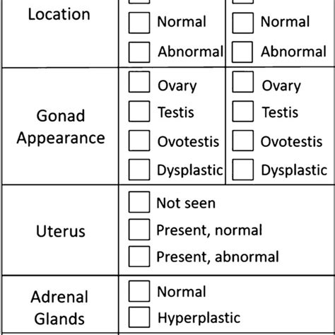 The Prader Scalestaging Depicts Different Degrees Of Virilization Of