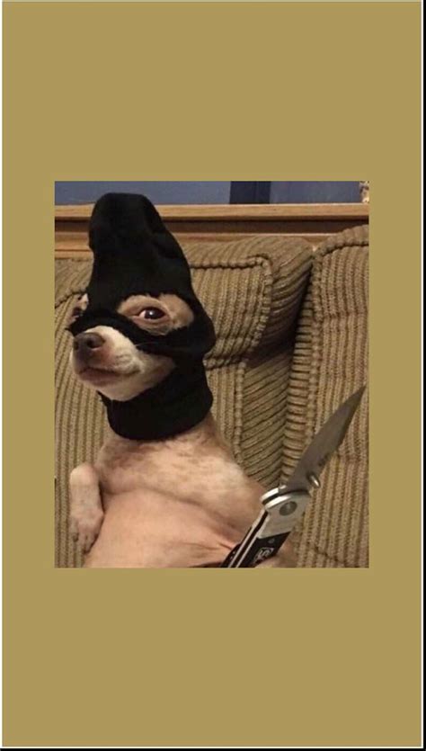 Programmer Funny Coding Hd Wallpaper Pxfuel