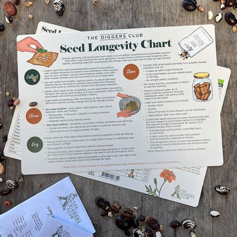 Diggers Seed Longevity Chart The Diggers Club
