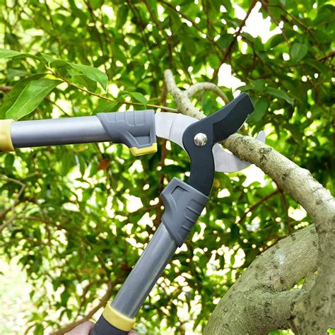Lightweight Garden Lopper Tool Tree Lopper For Pruning Jardineer
