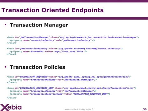 Xke Introduction To Apache Camel Ppt Programming Languages Computing