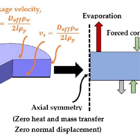 A Cylindrical Sample B Boundary Conditions For Shrinkage And