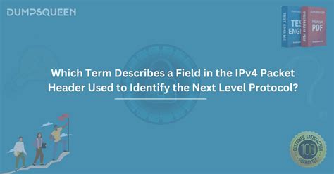 Learn Which Term Describes A Field In The Ipv4 Packet Header Used To Identify The Next Level