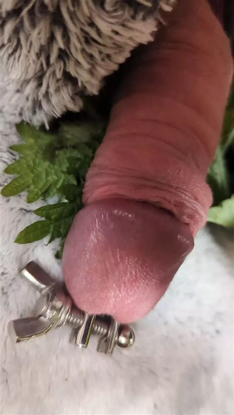 Cock Nettles Torture And Stretching Urethra Gay Bdsm Porn Xhamster