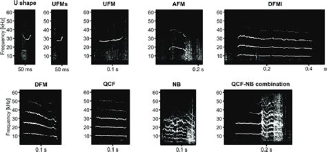 Representative Spectrograms Of Nine Call Types Of Vocalizations