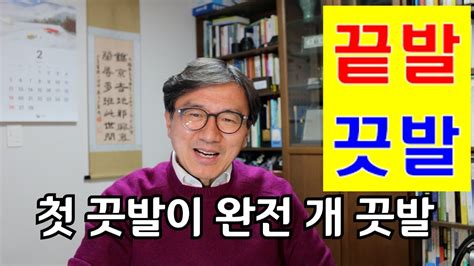 썰래발tv 첫 끗발이 완전 개 끗발 Youtube
