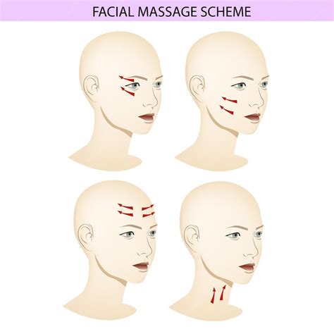 Premium Vector Facial Massage Scheme Massage Visual Guide