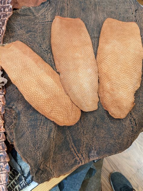 Beaver Tail Leather Small Unique And Very Stylish