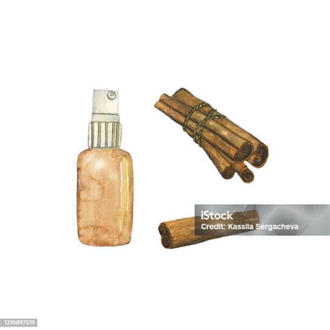 흰색 배경에 고립 된 계피 스틱의 에센셜 오일 수채화 손으로 나무 껍질과 유리 병에서 유기농 향신료의 그림을 그린 요리 의학