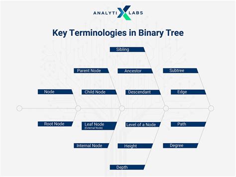 Binary Lesson Ks3