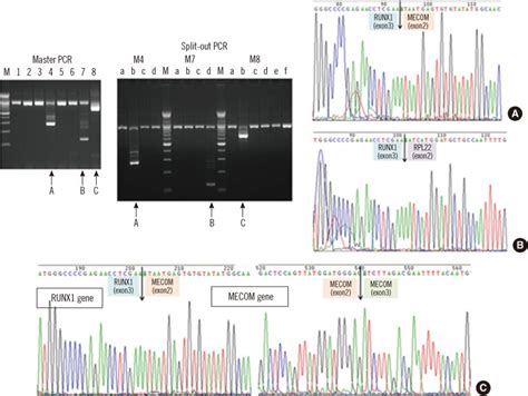 Multiplex Reverse Transcriptase PCR RT PCR And Sequencing Analyses Download Scientific