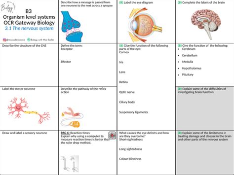 Ocr Gateway Biology Gcse Revision Grid B3 Organism Level Systems Teaching Resources