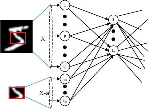 Illustration Of The Region Enhanced Ml Elm Input Download Scientific Diagram